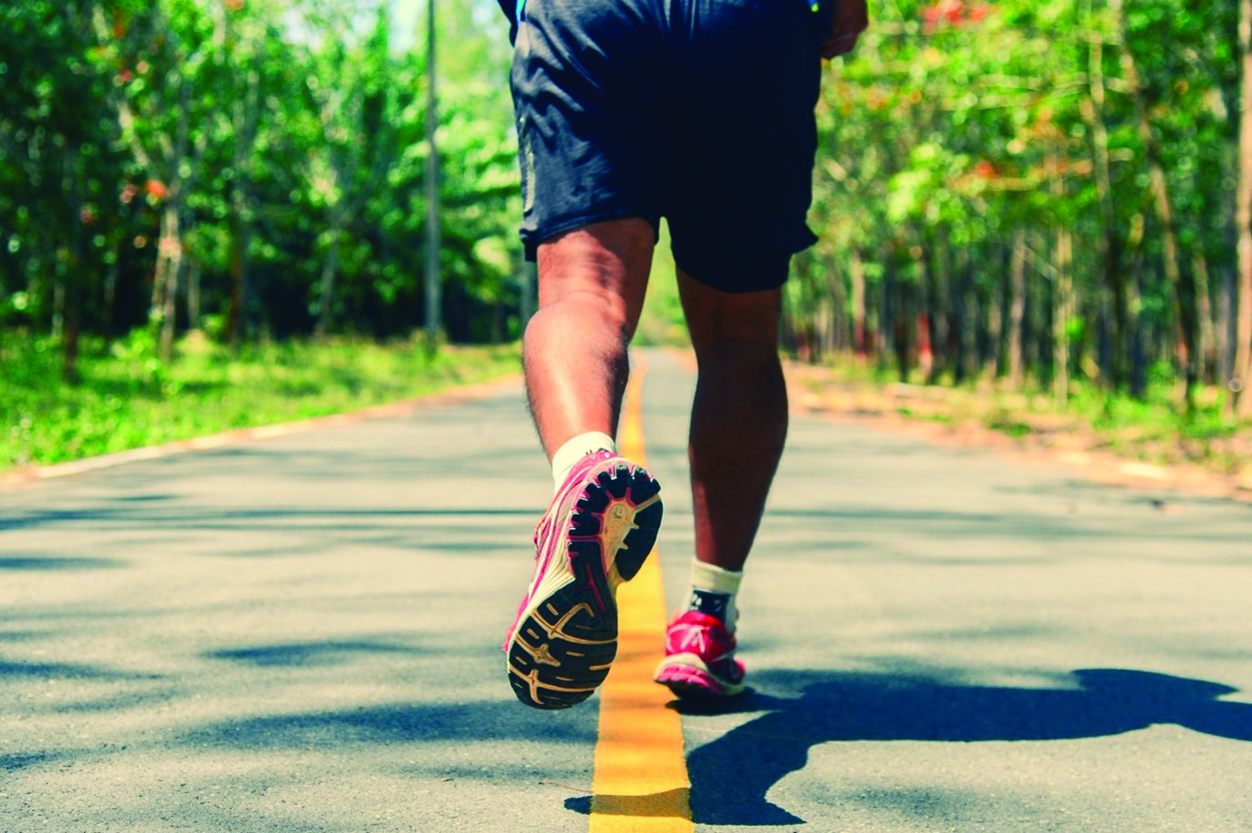 Fit for the job - Driver Hire